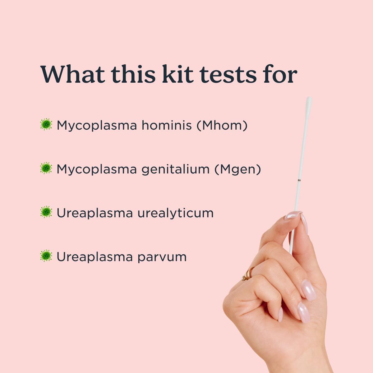 Mycoplasma & Ureaplasma Swab Test Kit | Wisp